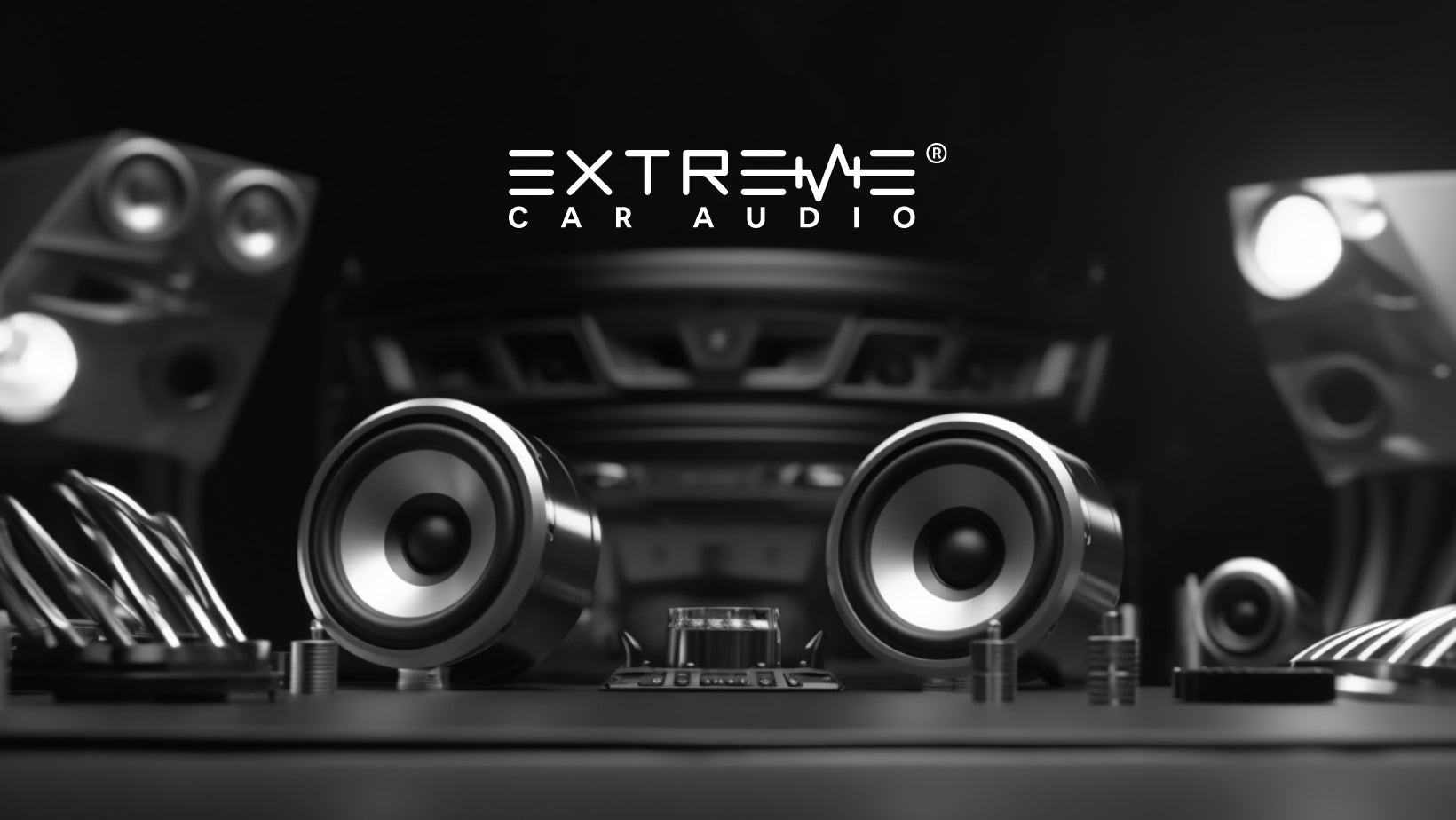 Midrange speaker – Extreme Car Audio